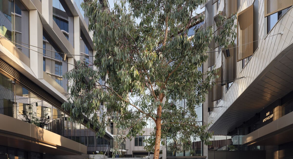 Custodian UAP 2024 - UAP