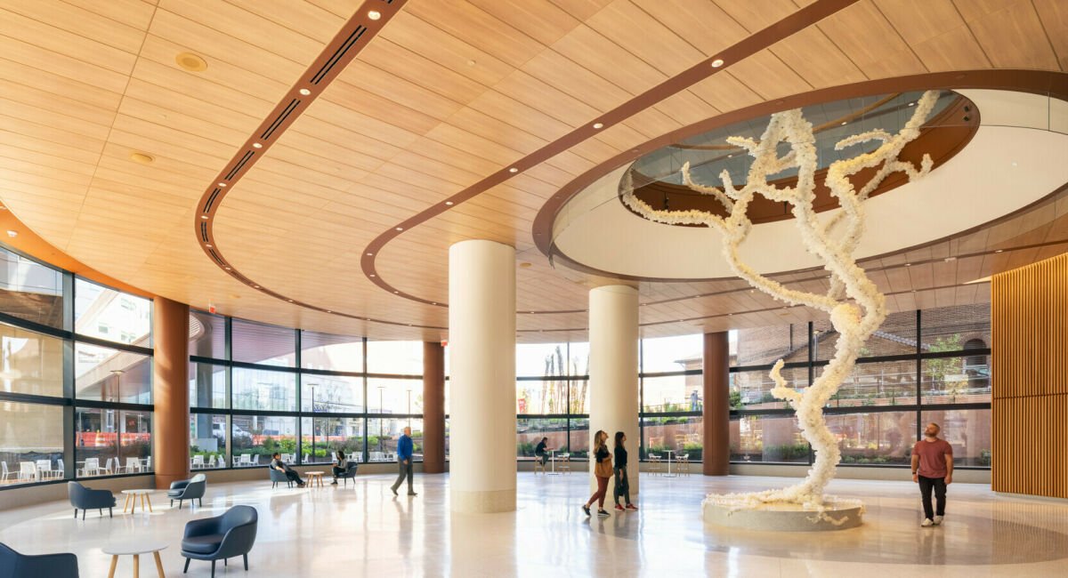 Maya Lin - Decoding the Tree of Life - UAP Urban Art Projects - UAP